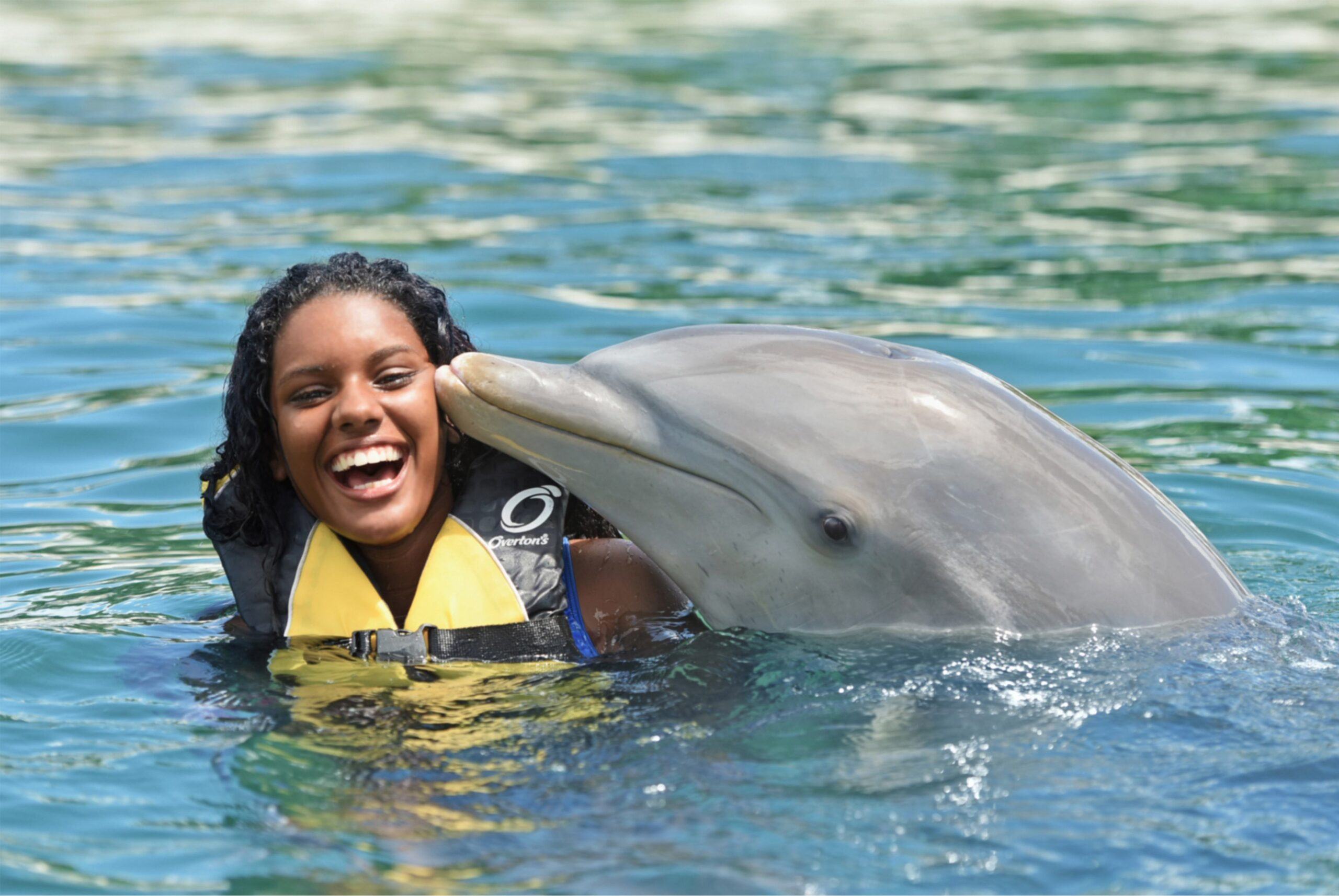 Ocean World (Day Pass) From Viva Tangerine by Wyndham - Explore Viva